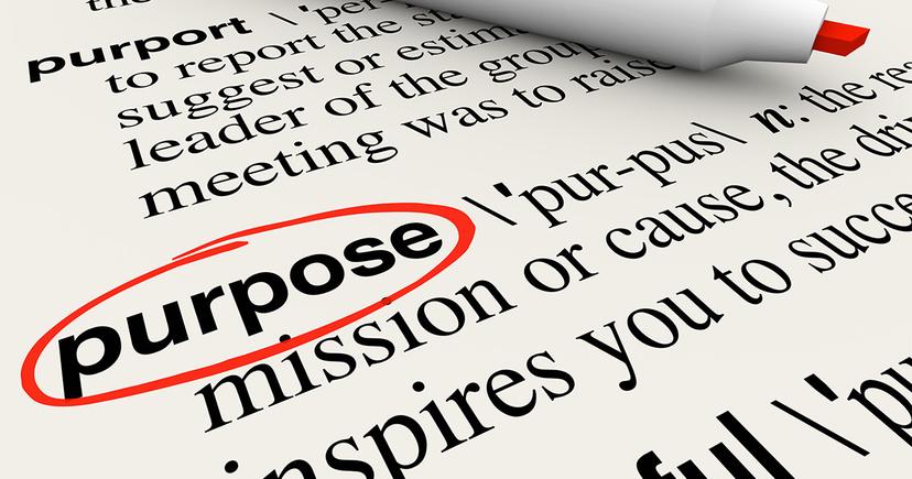 The Role of Passion and Purpose in Entrepreneurship | icanpreneur