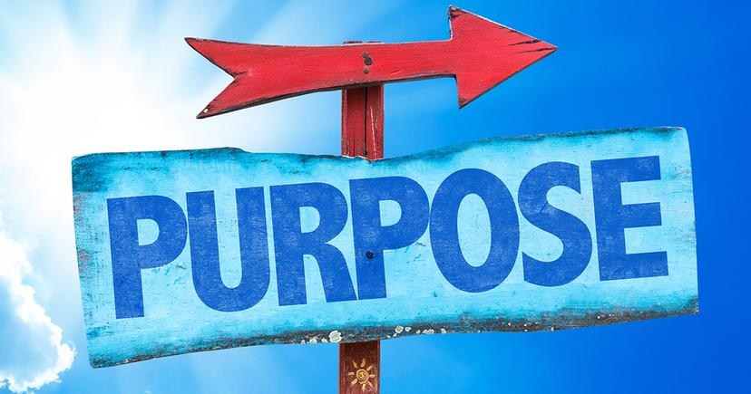 The Role of Passion and Purpose in Entrepreneurship | icanpreneur